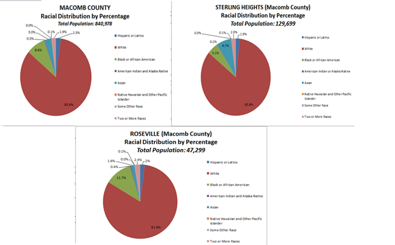Challenge Detroit – Metro Detroit: The Diversity and Segregation of our ...