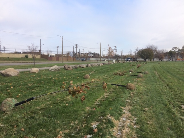 Challenge Detroit – Bringing the Forest to Detroit