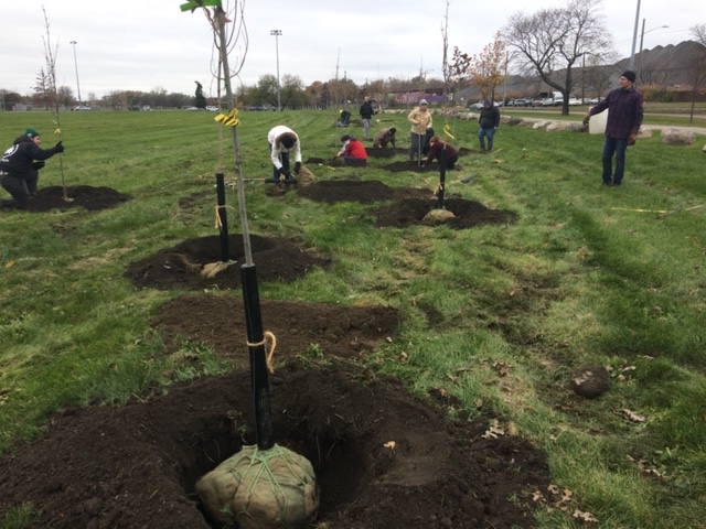 Challenge Detroit – Bringing the Forest to Detroit