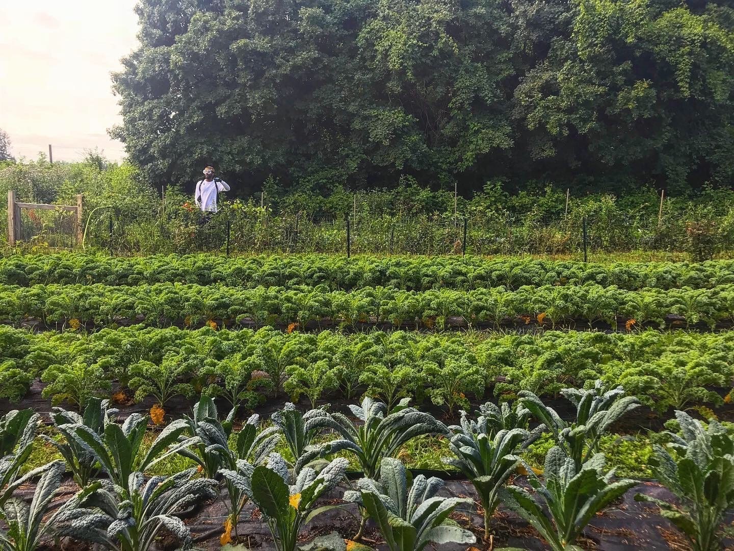 Challenge Detroit – Fellow Spotlight: Akash Raje